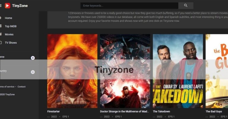 Tinyzone: A Closer Look At The Free Streaming Revolution